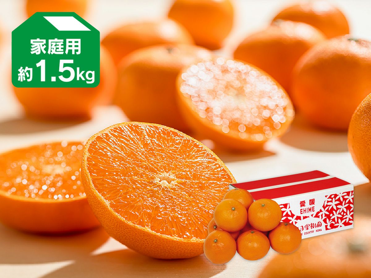 内容量 露地せとか 約1.5kg 家庭用 （2L～M玉中心　4～16個程度） 品格 家庭用：バラ詰めだからお得にお届け。ご自宅や親しい方への贈り物に！ 産地 愛媛産 出荷場所 のま果樹園(愛媛県今治市)より発送 出荷日 2月下旬頃～4月下旬...