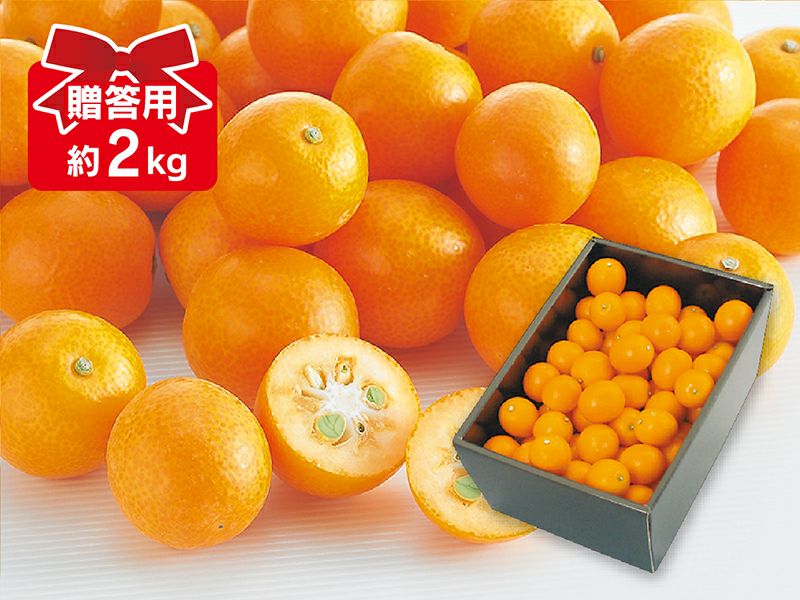 内容量 完熟きんかん 約2kg 贈答用 （L玉以上） 品格 贈答用：大きさ・形を選別し、ばら詰めにてお届けいたします。 産地 宮崎・鹿児島産 出荷場所 のま果樹園（大阪発送センター）より発送 出荷日 2月上旬頃～2月下旬頃まで（在庫限り）