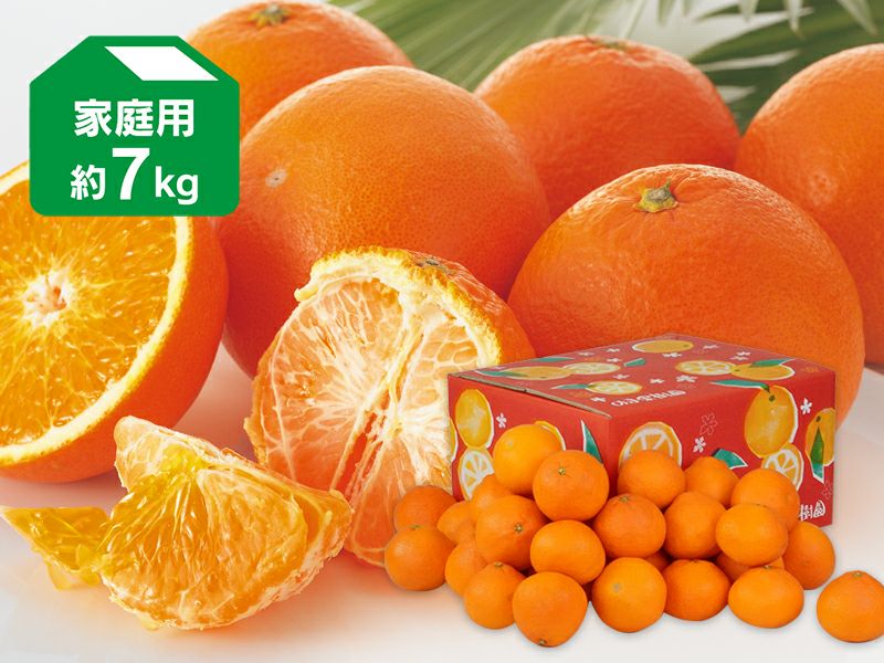 内容量 西の香 約7kg 品格 家庭用： 大中小混合のキズあり果実をバラ詰めだからお得にお届け。 産地 愛媛産 出荷場所 のま果樹園(愛媛県今治市)より発送 出荷日 2月上旬頃～2月中旬頃まで（在庫限り）u