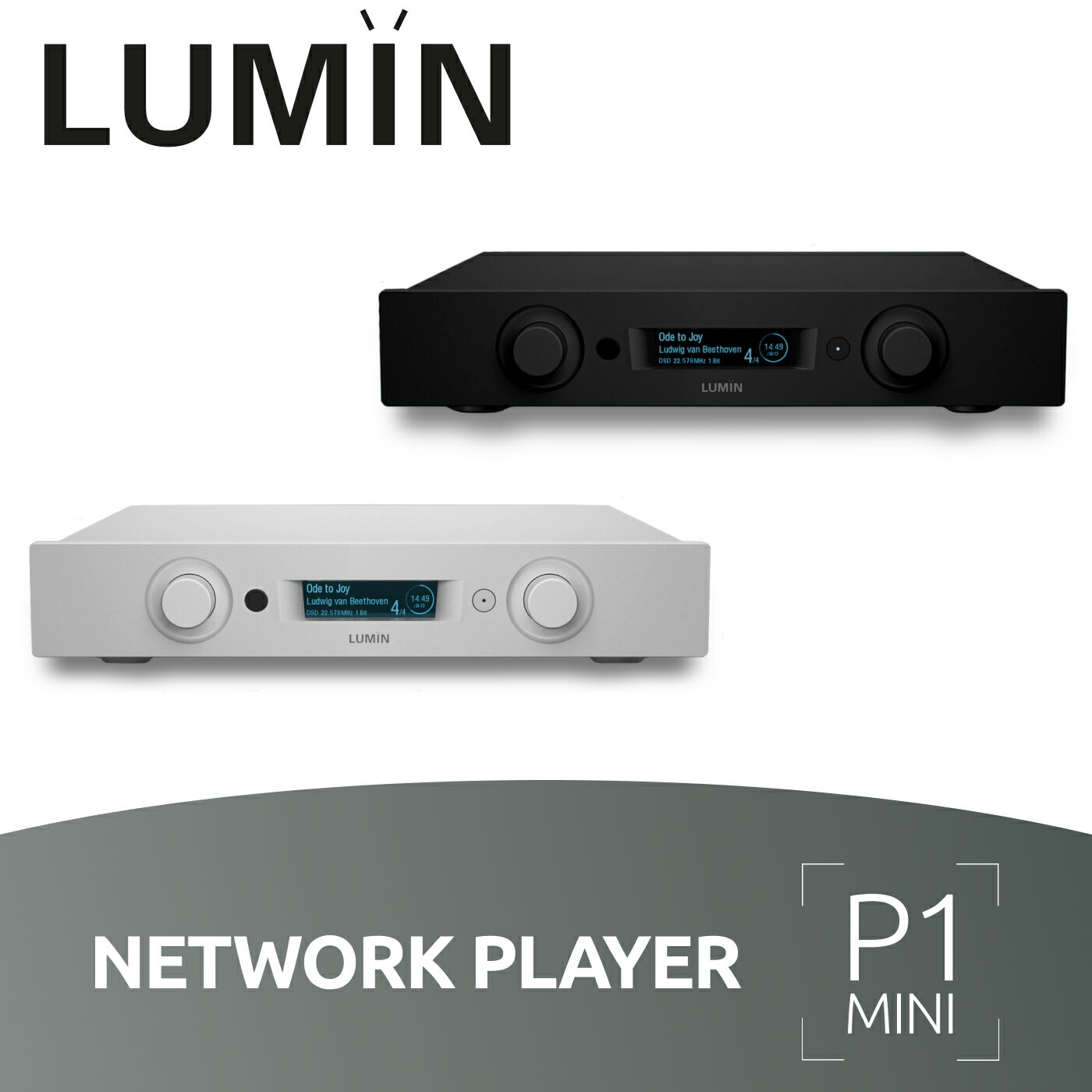 対応フォーマット DSD: DSF (DSD), DIFF (DSD), DoP (DSD)PCM: FLAC, Apple Lossless (ALAC), WAV, AIFF 圧縮オーディオ: MP3, MQA 対応サンプリング/ビット...