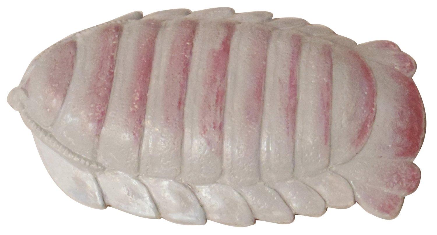 スタイル：おつまみ皿 ダイオウグソクムシ◆商品名：おもしろ食器 深海魚 おつまみ皿 ダイオウグソクムシ SAN-2669サイズ:約幅18×奥行き11.5×高さ3cm素材:磁器生産国:中国梱包サイズ:5.0cm×20.0cm×13.5cmパタ...