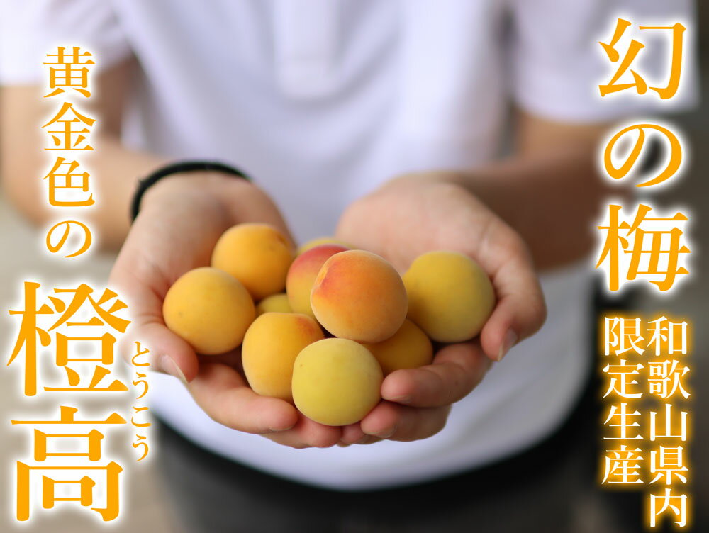 桃にみかんを合わせたようなフルーティな香り！和歌山県限定・移動制限のある特別な品種「橙高（とうこう）」。漬けると黄金色に染まる、フルーティで芳醇な梅酒・梅シロップが作れます。βカロテンが南高梅の約6倍！日本で1番有名な梅酒メーカーが「幻の梅...