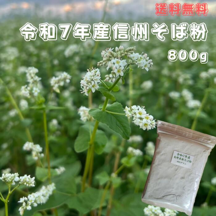 昨秋収穫された令和7年産の新そば粉800gです。 保存に便利なチャック付きです。 長野県産のそばには、いくつかの素晴らしい特徴があります！ 特に「信州そば」として知られ、日本全国でも人気の高いそばです こだわりの長野県産100％ 外国産は一...