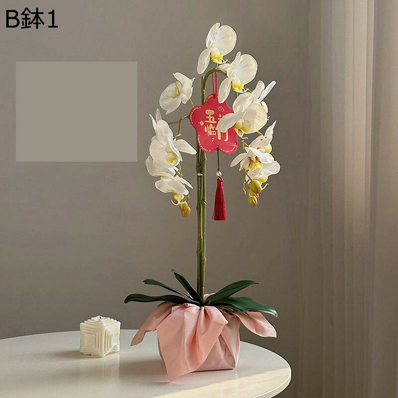 　　　 ◆◇◆人気の秘密◆◇◆ 【高級なイメージ】胡蝶蘭は高級なイメージの印象があるお花ですが、小ぶりでお部屋にしっくりと馴染むデザインで気軽に飾っていただけます。リビングや寝室、玄関などに飾っていただければ一気に空間が明るくなります。 【...