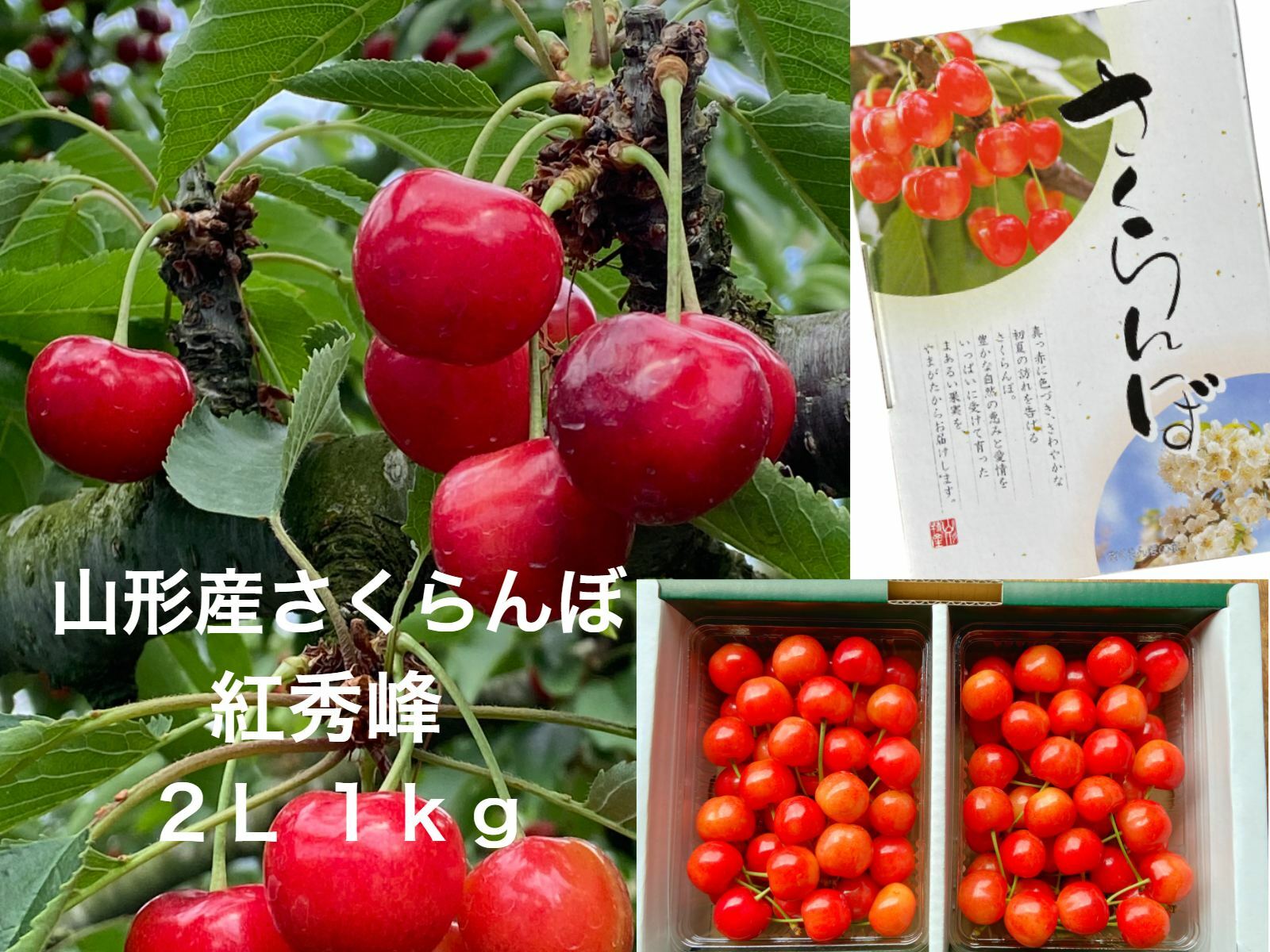 商品情報商品名山形産　さくらんぼ 佐藤錦 約1キロ産地名山形県天童市内容量約1キロ賞味期限生もののため、お早めにお召し上がりください。保存方法直射日光を避け、風通しの良い冷暗所で保存してください。紅秀峰 1kg 露地2Lサイズ 手詰め 露地...