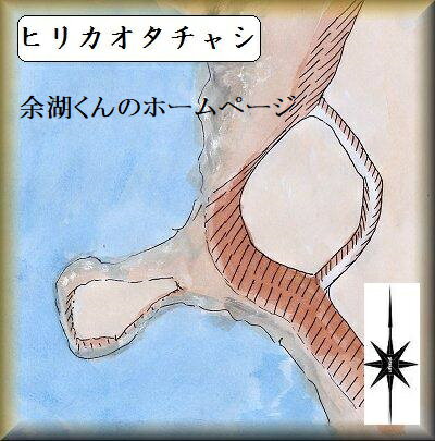 [完成品] 　ヒリカオタチャシ（根室市温根元）北海道の城　日本の城　お城のジオラマ模型　プラモデル　城郭模型 ★ケース244×244×261mm ★参考画像は「余湖くんのホームページ」よりの縄張り図ですが、ケース内で作れる範囲で作ります。★...
