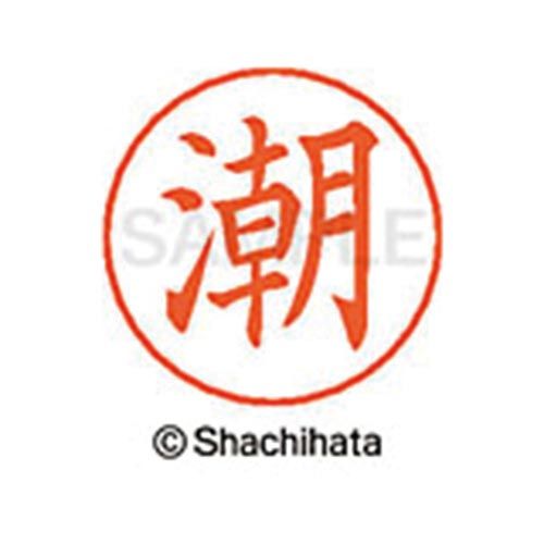 シヤチハタネームペン各種のネーム部です。既製品は2064氏名あります。●仕様／商品サイズφ13．5mm×25．5mm●本体質量／3g●書体／楷書体●インク色／朱色●印面寸法／直径9mm●単位／1個●メーカー品番／X−GPS−00373※ネー...