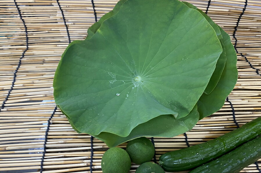 葉のサイズは現在4サイズご用意があります(こちら小さいサイズのページです） 特大、大、中、小となっておりますのでご参照ください 規格サイズはあれど誤差はございます、ご了承ください 画像は中サイズです 季節のあしらいにご利用ください お皿とし...