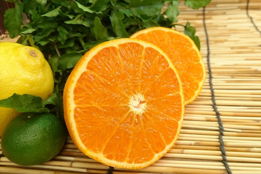 数種類のみかん、オレンジの品種から生まれた、 タンゴール種の中でも特に美味しい みかん好き絶賛の平成生まれの「せとか」です それぞれのいいとこどりをしてできただけあって 糖度、酸味、そしてとろける食感と濃密なジューシーさ 欠点のない味わいと...