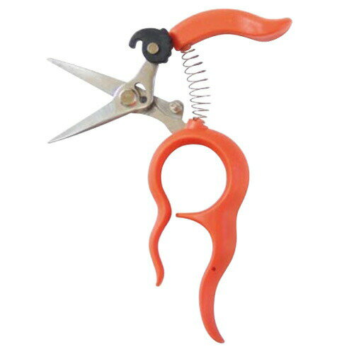 商品仕様 【品　名】 ぶどう摘粒鋏 【品　番】 B-2 【全　長】 100mm 【重　量】 32g 【商品特長】 つけたまま作業ができる指かけハンドル　両手が使える鋏 ●つけたまま作業ができる指かけハンドル・・・両手が使える鋏 ●実を傷つけ...