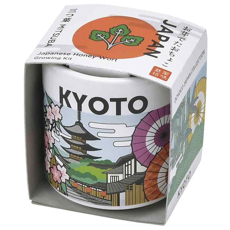 聖新陶芸 ミニ 栽培キット お芽でたおちょこ JAPAN