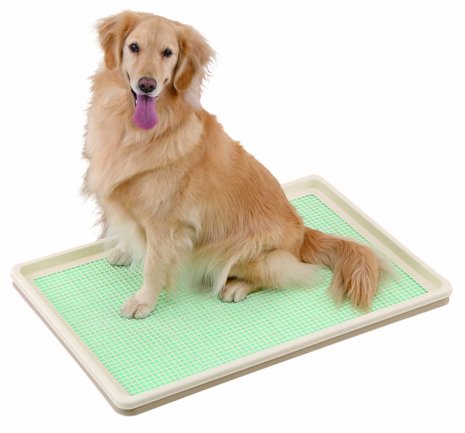 中型~大型犬用のトイレですサイズ: 幅936×奥行640×高さ44mm重量: 2.5kg材質: 本体、メッシュカバー/PP樹脂製中型~大型犬用のトイレです