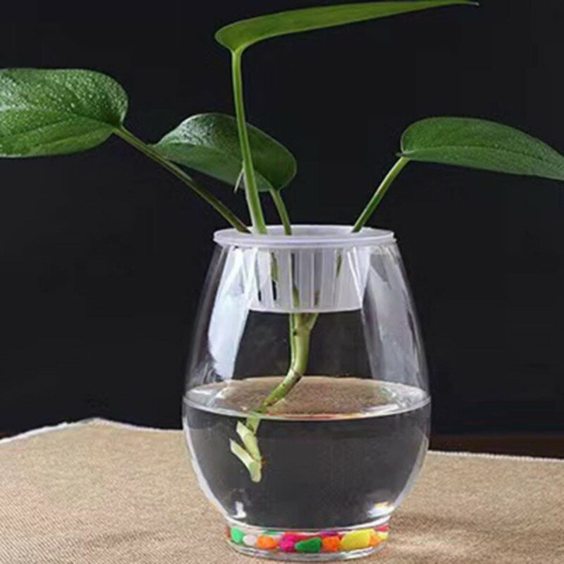 　　　 ◆◇◆売れている秘密◆◇◆ 「商品情報」◆材質：ガラス(この商品には花や他の植物を含めておりません)◆サイズ：●Sサイズ＝20*10.5cm、●Mサイズ＝25*12.5cm、●Lサイズ＝30*15cm（寸法は写真を参考してください）...