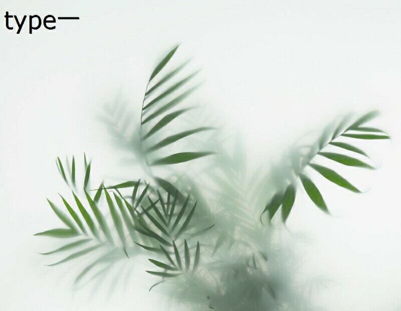 　　　 ◆◇◆人気の秘密◆◇◆ 【残り物なし・賃貸OK】：接着剤や糊ではなく、水だけで貼り付け、貼り直しOK！初心者の方でも簡単に貼ることができます。また、静電気吸着なので、簡単に貼って剥がせ、残留物もなし、再利用も可能です。 【目隠しでプ...