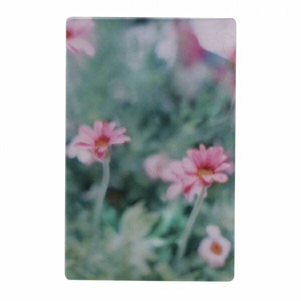 フォトグラファー・安堂真季氏が撮影した写真をPET素材に印刷した透明な栞です。本に挟むと下地が透けて、文字の世界を鮮やかに彩ります。金魚やお花、風景など幅広い柄が揃う本好きに人気のシリーズです。文庫本の片面に収まる、L版写真ほどの大きさと形...