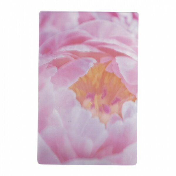 フォトグラファー・安堂真季氏が撮影した写真をPET素材に印刷した透明な栞です。本に挟むと下地が透けて、文字の世界を鮮やかに彩ります。金魚やお花、風景など幅広い柄が揃う本好きに人気のシリーズです。文庫本の片面に収まる、L版写真ほどの大きさと形...