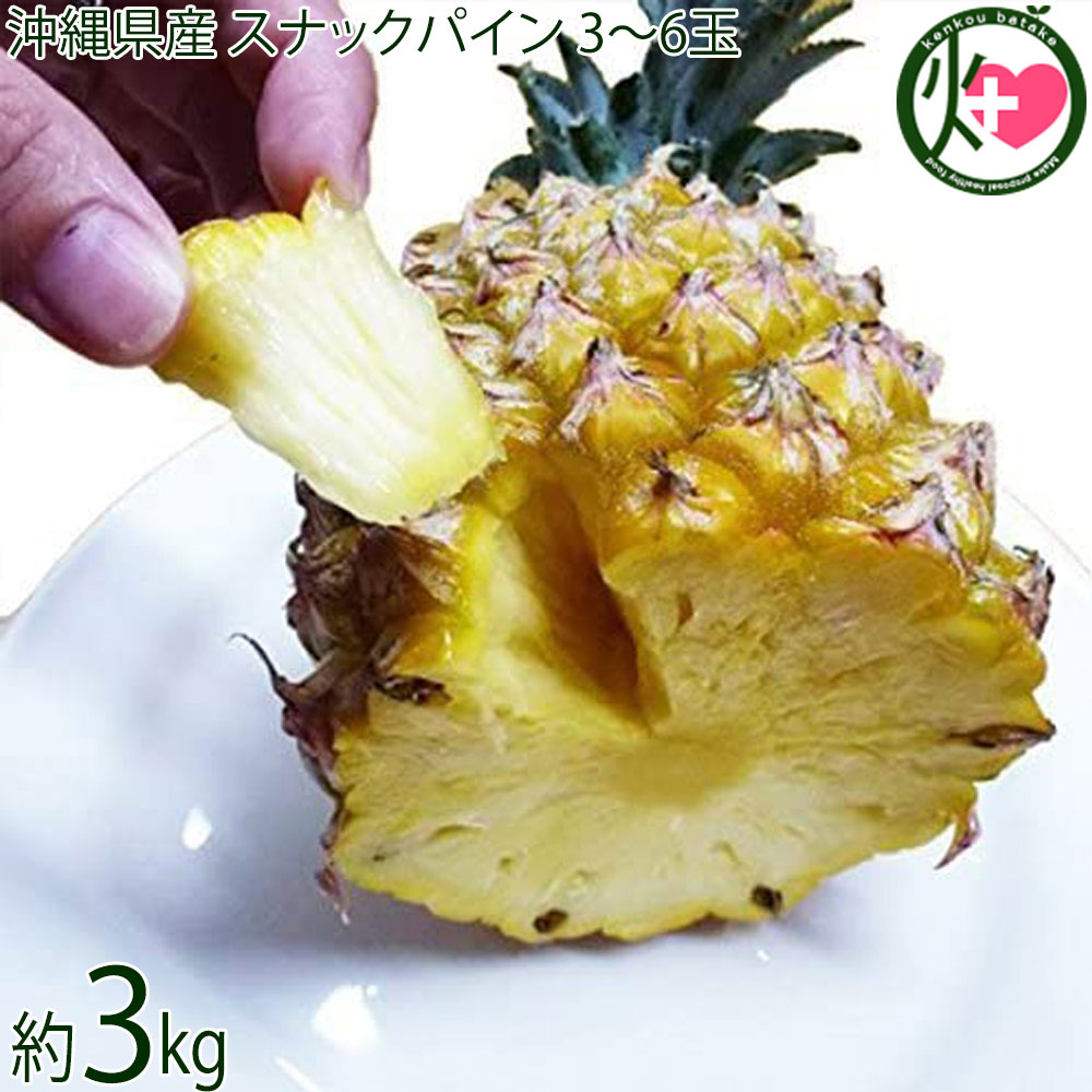 【名称】パイナップル【内容量】3kg(3-6個)【賞味期限】生ものですので、食べ頃になりましたらお早めにお召し上がりください。冷蔵庫での保存期間は、目安として約4日ほどです。【保存方法】冷蔵庫で保管してください。宅急便：冷蔵着日指定：×不可...