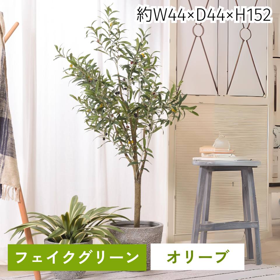 商品情報 名称 フェイクグリーン オリーブ 材質 ポリ塩化ビニル 合成樹脂 　　　 数量 1個 　　　 サイズ 約W44×D44×H152 　　　 組立 完成品 　　　 ご注意事項 メーカー直送品のため、商品在庫が不足している際はご連絡いた...