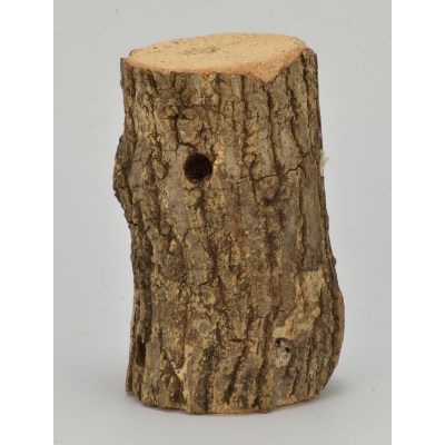 クワガタ飼育、産卵、幼虫飼育にご使用下さい。【材質】朽木【原産国または製造地】日本【諸注意】・自然素材の為、サイズ(太さ等)や硬さにバラつきがあります。お取り寄せ商品のため、入荷後の発送となります。●ご注文日時により2～7日後の発送となりま...