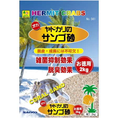 オカヤドカリは、生体になった後も、脱皮を繰り返し成長します。脱皮の前にオカヤドカリは、砂の中に巣穴を掘ったり、隠れ場所を探したりして、そこで何日もの間、外敵に邪魔されない様、じっとしていて、やがて脱皮をします。この脱皮の時期が重要で、脱皮時...