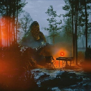 Songs for the CryptidsBIALYSTOCKSビアリストックス びありすとっくす　発売日 : 2024年10月02日　種別 : CD　JAN : 4524135196422　商品番号 : PCCA-6325【商品紹介】B...