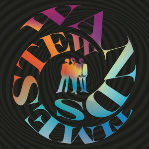 TIME STEW (CD+Blu-ray) (初回限定盤A)WANDSワンズ わんず　発売日 : 2025年3月26日　種別 : CD　JAN : 4523949115407　商品番号 : GZCD-5017【商品紹介】”時間をかけてじっ...