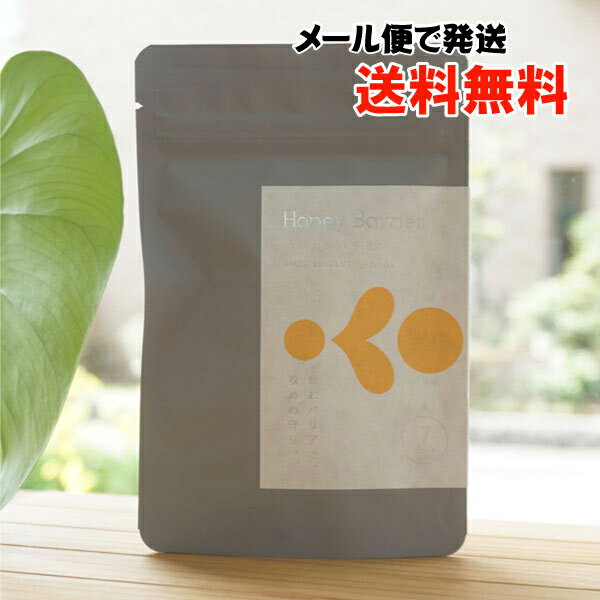 【注意】次の場合、送料が発生します。【メール便】、【送料無料】指定の商品以外との同梱の場合。●上記指定商品との同梱の場合は こちら ■針なしミツバチは熱帯地域に生息する3~5mmほどの小さな蜂 ■行動範囲は500mと狭く、収穫量も普通のミツ...
