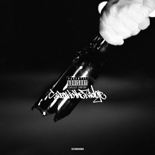 Fuck fantasy, I live in reality / Living hard every single minute 90年代後半から約20年以上の活動を誇る横須賀/横浜のハードコアバンド【SECONDARMS】のキャリア初と...