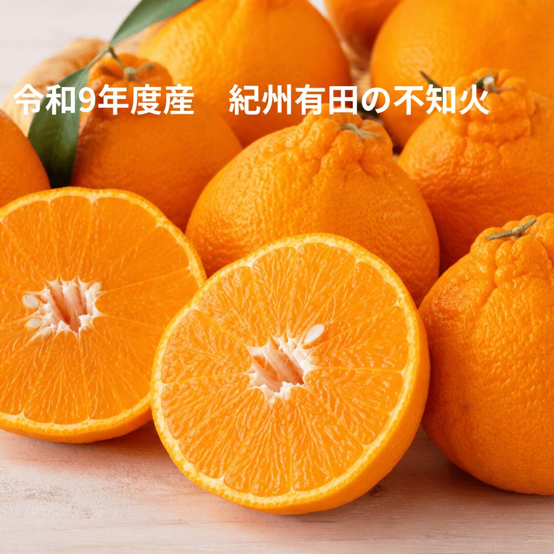 商品情報名称不知火（しらぬい）産地名和歌山県内容量6玉、10玉、20玉保存方法直射日光・高温多湿を避け、風通しの良い冷暗所で保存してください。おいしくお召し上がりいただくため、到着後はなるべくお早めにお召し上がりください。販売者株式会社　k...
