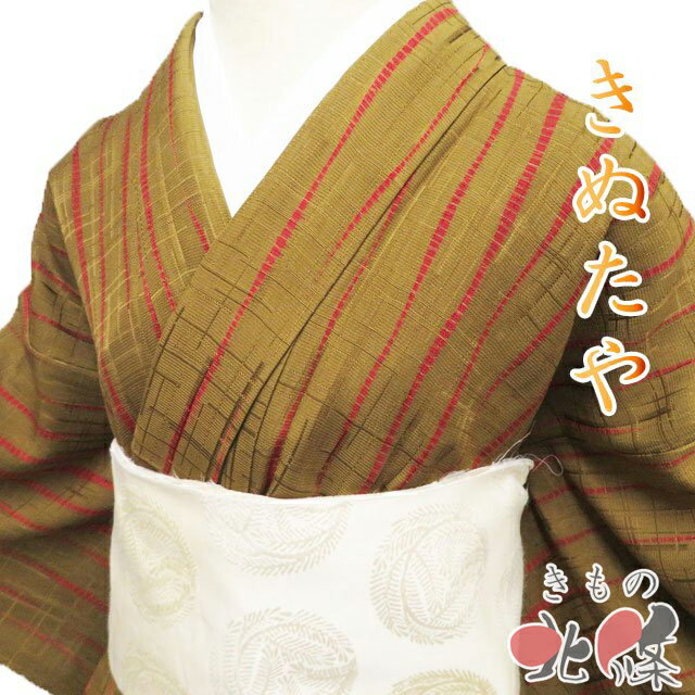 丈165.5cm(+10) 裄68cm(+1.5) 袖丈48cm(+3.5) 前幅23cm 後幅30.5cm ※サイズのお直し、承ります。 （身丈のみ、身幅のみのお直しは承っておりません） ※身丈は肩から測っております。 ※()内の数字はお...