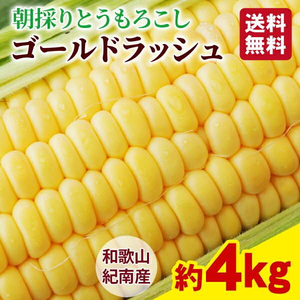 ●朝採りとうもろこし『ゴールドラッシュ』 約4kg ●"ゴールドラッシュ" とうもろこし「ゴールドラッシュ」は、和歌山県紀南地方の温暖な気候のもと、半世紀以上の歴史がある白浜町とんだ地域で栽培されています。小規模ならではの栽培管理が出来てい...