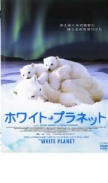 &nbsp;品　番&nbsp;PCBE72505&nbsp;出　演&nbsp;ジャン＝ルイ・エティエンヌ(ナレーション)&nbsp;監　督&nbsp;ティエリー・ラコベール／ティエリー・ピアンタニーダ&nbsp;制作年、時間&nbsp;20...