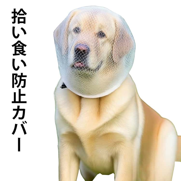 高通気性メッシュ採用。蒸れにくく、ペットに優しいストッパー付きだからサイズ調節も簡単です無駄吠え防止、噛み癖対策、誤食防止に最適です耐摩耗・耐噛み素材を使用し、洗濯機で洗える設計で清潔を保ちます サイズ 25*30cm サイズについての説明...