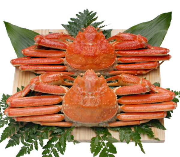 ※送料・BOX代込！ ※他商品と同送不可！ 上品な甘みと旨味のあるずわいがに姿を2尾セットにしました。見栄えのする姿セットでご贈答に最適です。 【セット内容】 ずわいがに姿(冷凍) 750g前後 × 2尾原材料※上記の原材料は、個別商品ペー...