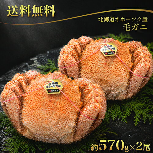 北海道オホーツク産の最高品質の毛ガニ。食べると身はしっとりで言葉が出なくなります。 旬の毛ガニを生きているうちにすばやく浜ゆでし、急速冷凍しています。 ■原材料名：毛がに（北海道オホーツク海）、食塩 ■内容量：約570g×2尾 ■賞味期限：...
