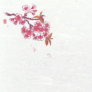 【仕様】 メーカー品番：W5-3 幅×奥行：150×150mm ●無蛍光雲流遠赤抗菌和紙を使用しております。 ※御注文の際は、200枚単位でお願いします。 〈特長〉 ●優れた抗菌効果と遠赤外線放射。 ●雑菌(大腸菌、病原性大腸菌O-157)...
