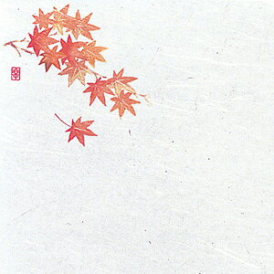 【仕様】 メーカー品番：W4-7 幅×奥行：120×120mm ●無蛍光雲流遠赤抗菌和紙を使用しております。 ※御注文の際は、200枚単位でお願いします。 〈特長〉 ●優れた抗菌効果と遠赤外線放射。 ●雑菌(大腸菌、病原性大腸菌O-157)...