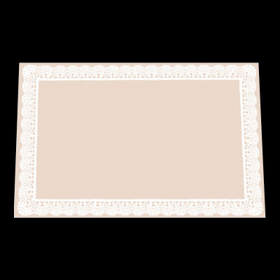 【仕様】 メーカー品番：TE-L09 規格：L 間口×奥行：460×310mm