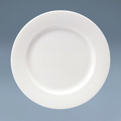 【仕様】 メーカー品番：40794-5467 直径×高さ：244×20mm ナルミ ファインチャイナ パティアシリーズ●レストラン使用を重視したアイテム構成で使いやすさに優れた「パティアシリーズ」●食のあらゆるシーンでお使いいただけるシンプ...