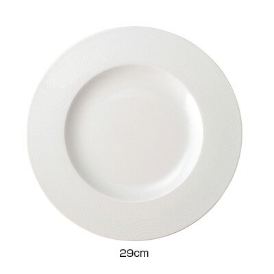 【仕様】 メーカー品番：CV2901 サイズ：φ290×H20mm 材質：磁器