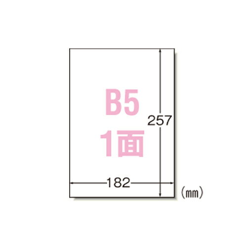 規格:B5判1面1片寸法:縦257×横182mm紙種:上質紙総紙厚:0.13mm ■メーカー希望小売価格はメーカーカタログに基づいて掲載しています