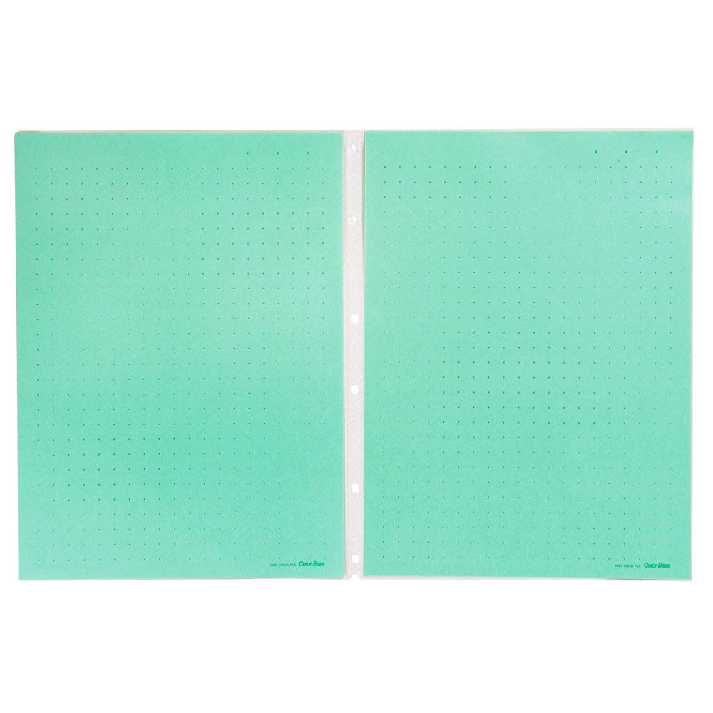 本体サイズ:300×2×236mm本体重量:120gパッケージサイズ:236×2×300mmパッケージ重量:120g入り数12ポケット単位で増やせるヒクタス±スティック・タイプ専用ポケット。再生PPサイズ:A4タテ。穴数:6。入数:1パック...