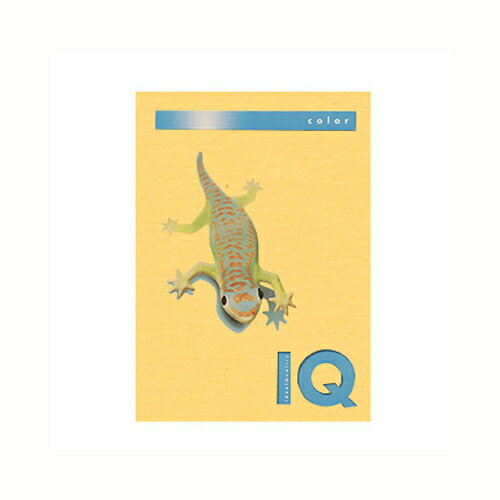 坪量:80g/m2四六判換算:68.8kg紙厚:0.103mm ■メーカー希望小売価格はメーカーカタログに基づいて掲載しています