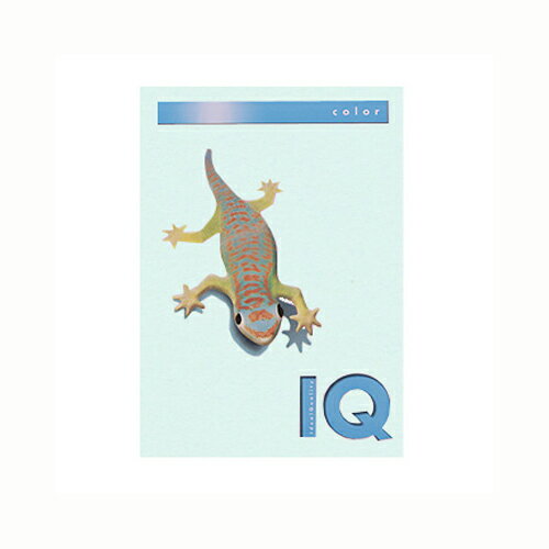 坪量:80g/m2四六判換算:68.8kg紙厚:0.103mm ■メーカー希望小売価格はメーカーカタログに基づいて掲載しています