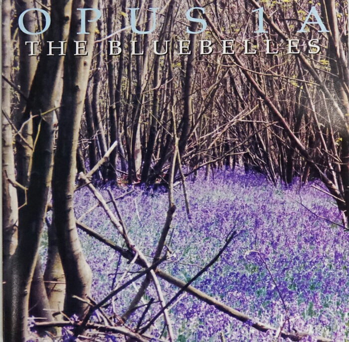 ジャズのスタンダードナンバーや映画音楽をトレバー・ワイによる華麗でユーモラスな編曲により、国内外問わずソロ・室内楽・オーケストラ等様々な分野で活躍の実力派若手フルーティスト5人の絶妙なアンサンブルにベースとパーカッションを加えた演奏で、心地...