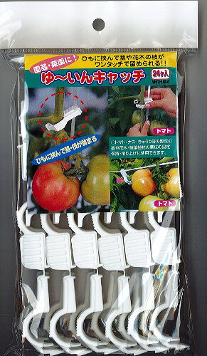 商品のパッケージは予告なく変更する場合がございます。トマト・ナス・きゅうり等の野菜の茎や花木・観葉植物の茎枝の固定、保持・吊り上げに使用できます。 ■仕様 ロック後サイズ：5.6×3.4×1.1cm 材質：耐候性ポリプロピレン 耐熱温度：8...