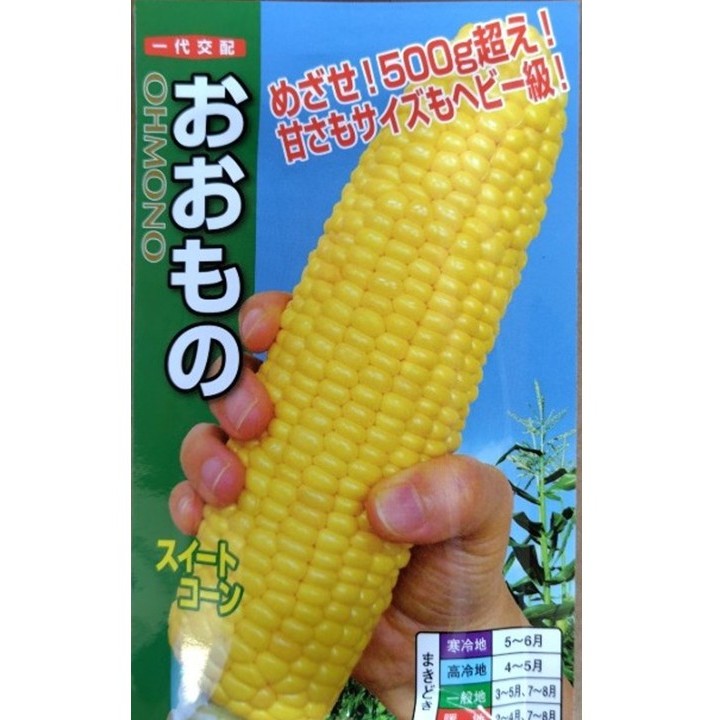 商品のパッケージは予告なく変更することがあります。 ■特性 ●糖度20度前後を安定して狙え、食味が極めて良い。 ●皮付総重500g異常を狙えるジャンボサイズ。 ●粒皮は鮮やかな黄色で柔らかく、しなびにくい。 ●粒列は18列前後。先端不稔は非...