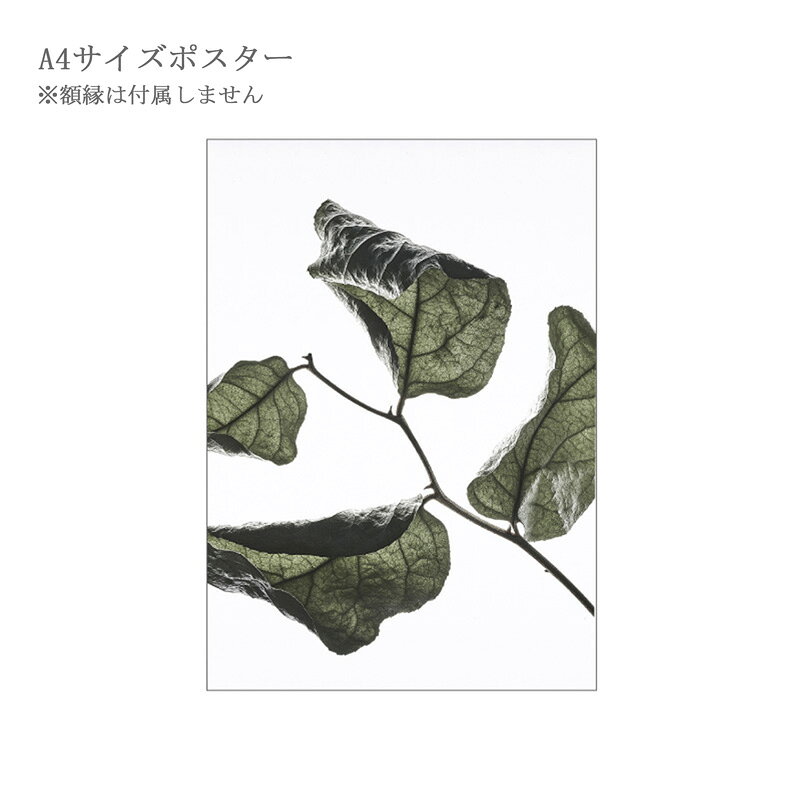 Floating Leaves バリエーション Floating LeavesA5 05 Floating LeavesA5 06 Floating LeavesA4 03 Floating LeavesA4 04 Floating Lea...