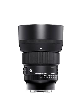 【中古】(非常に良い)シグマ レンズ 85mm F1.4 DG DN Sony ソニー Eマウント 単焦点 望遠 フルサイズ ミラーレス用 Art【メーカー名】シグマ【メーカー型番】322965【ブランド名】シグマ(Sigma)【商品説明】...