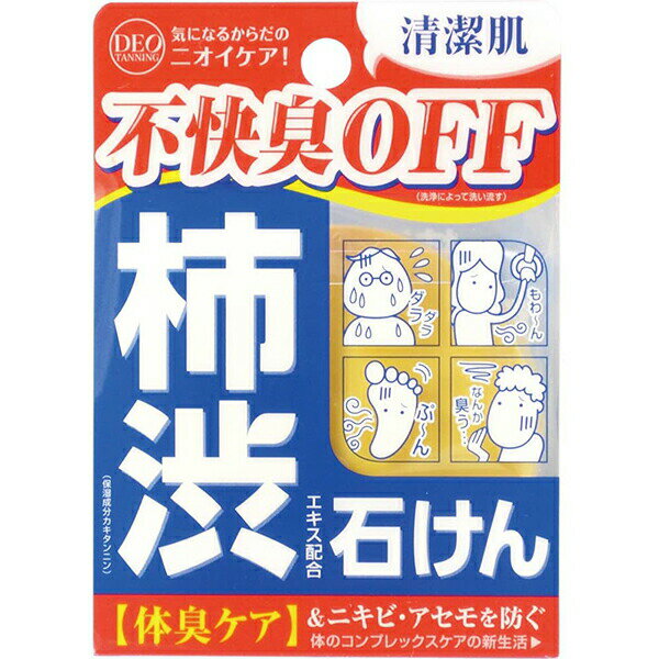 【特長】・柿タンニンエキスを配合した柿渋石鹸です。・汚れや不快さもすっきり洗い流し、すーっとさっぱり爽快な洗い心地です。・フルーティーミントの香りです。 【内容量：100g】【使用方法】・顔にお使いの時は、たっぷりと泡立ててやさしく洗顔し、...